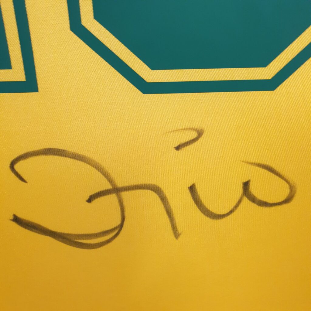 Zico – Signed Memorabila Shop