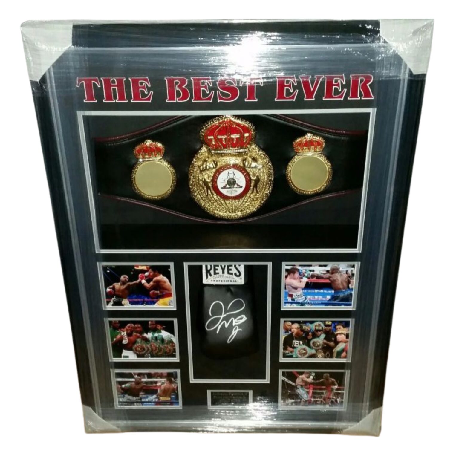 Floyd Mayweather Signed Boxing Glove with World Championship Belt ...