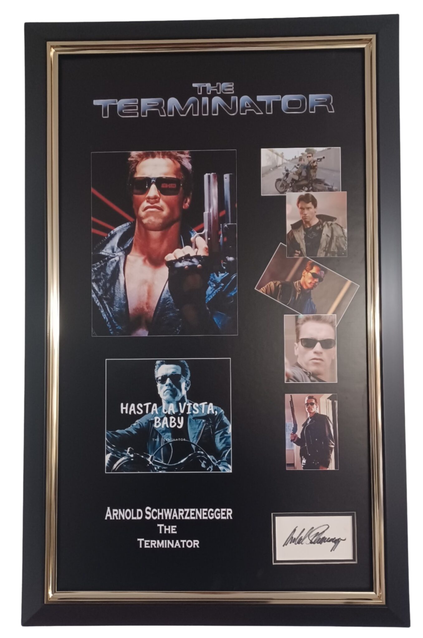 Arnold Schwarzenegger Signed Display – Signed Memorabila Shop