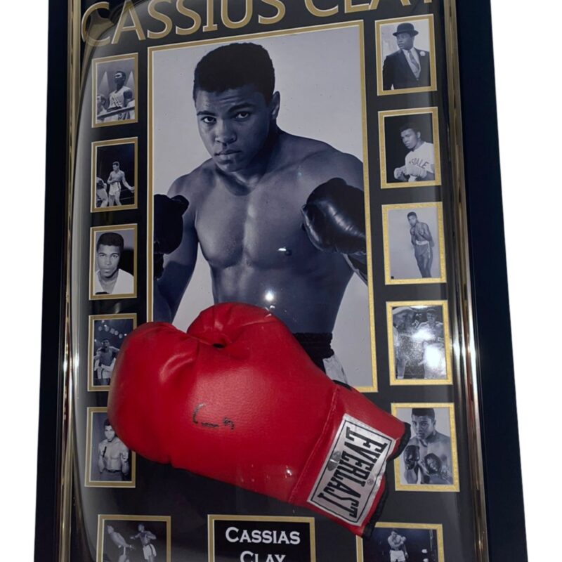 Cassius Clay aka Muhammad Ali Signed Boxing Glove STEINER HOLOGRAM ...